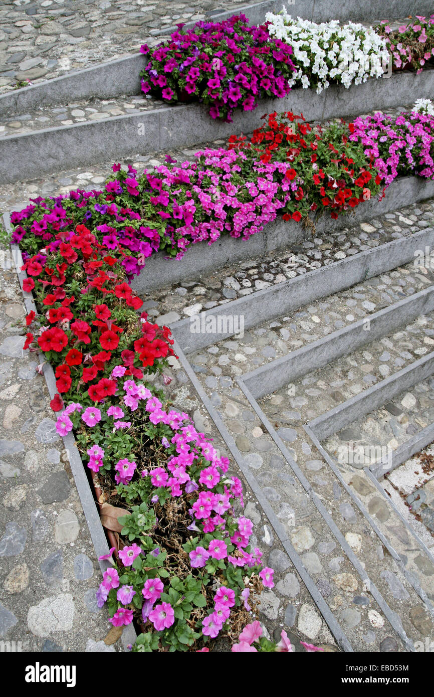 Tiered park, flowers, Peralada, Catalonia, Spain Stock Photo - Alamy