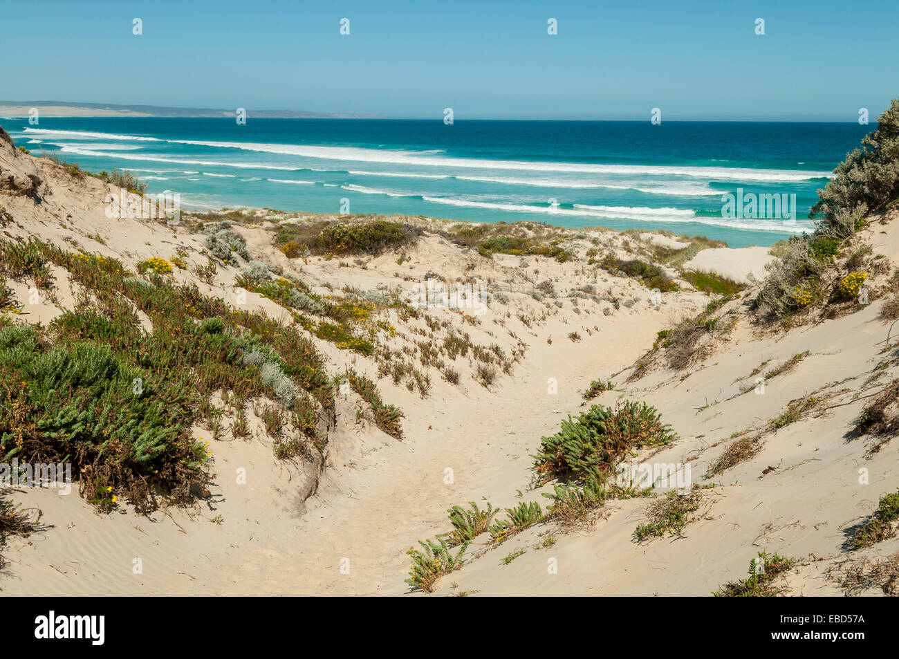 Dunes at Almonta Beach, Coffin Bay NP, SA, Australia Stock Photo - Alamy