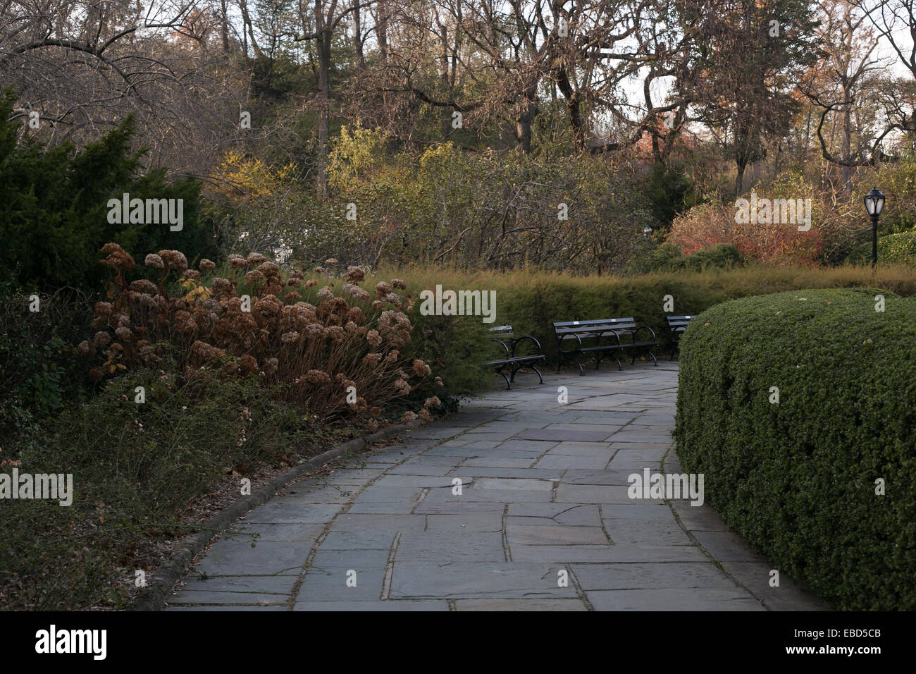 Circular walkway surrounded by landscape bushes in Central Park, New ...