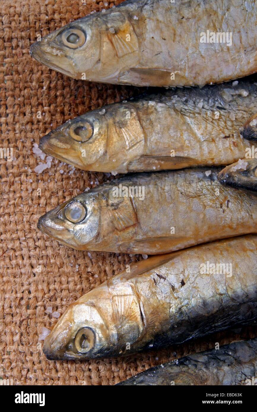 Squashed head hi-res stock photography and images - Alamy