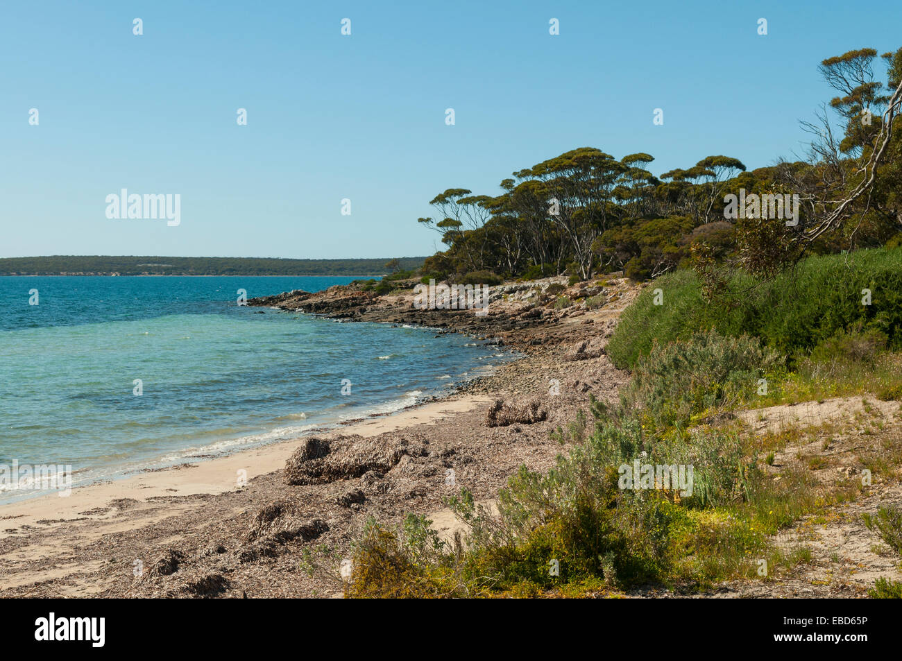 Surfleet hi-res stock photography and images - Alamy