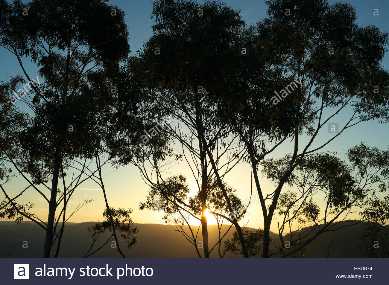 Jamison High Resolution Stock Photography and Images - Alamy