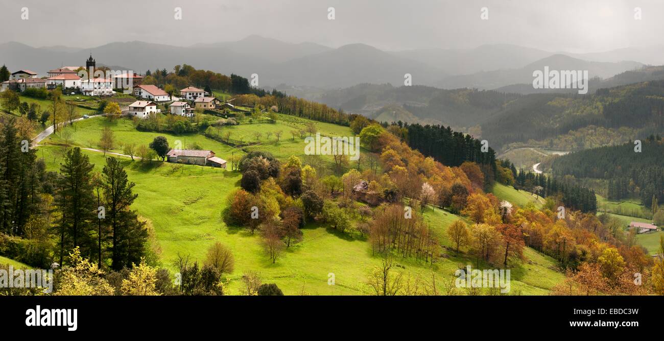 Gabiria High Resolution Stock Photography and Images - Alamy