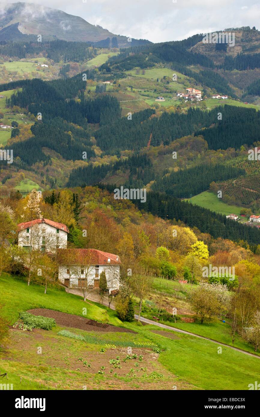 Gabiria hi-res stock photography and images - Alamy