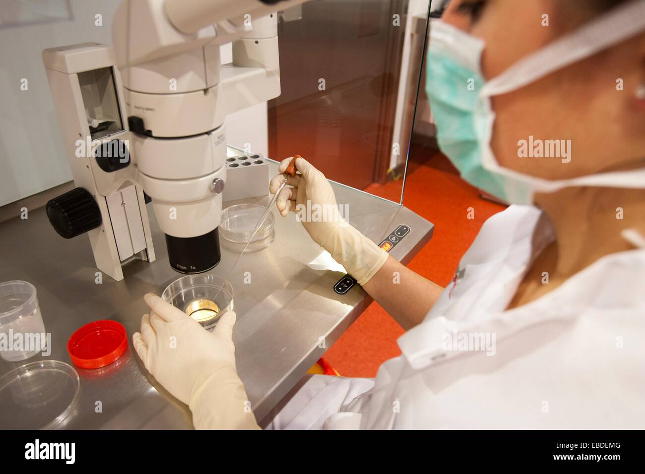 Artificial insemination microscope hi-res stock photography and images ...