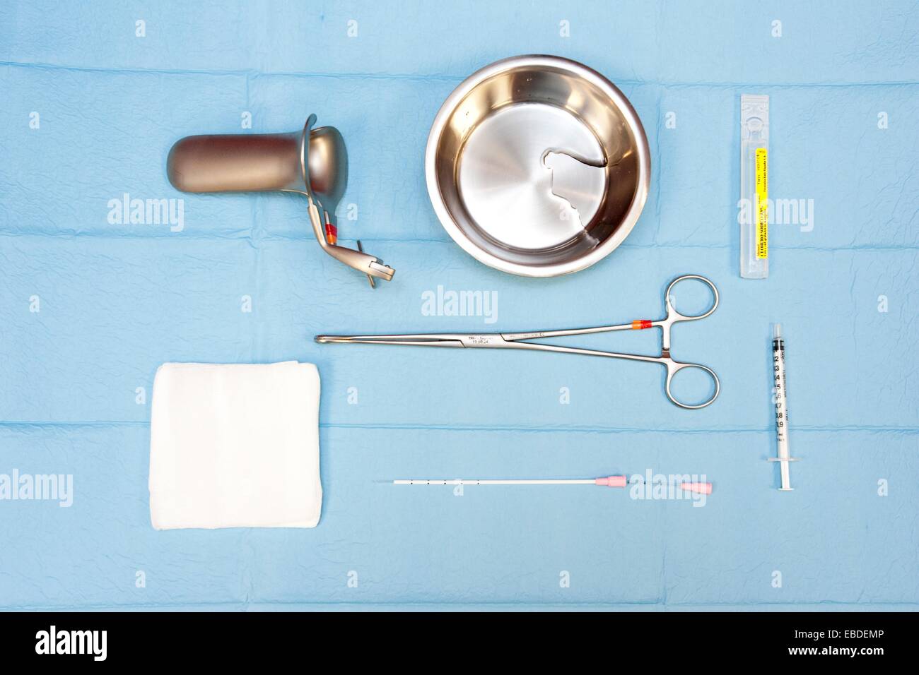 Insemination High Resolution Stock Photography and Images - Alamy