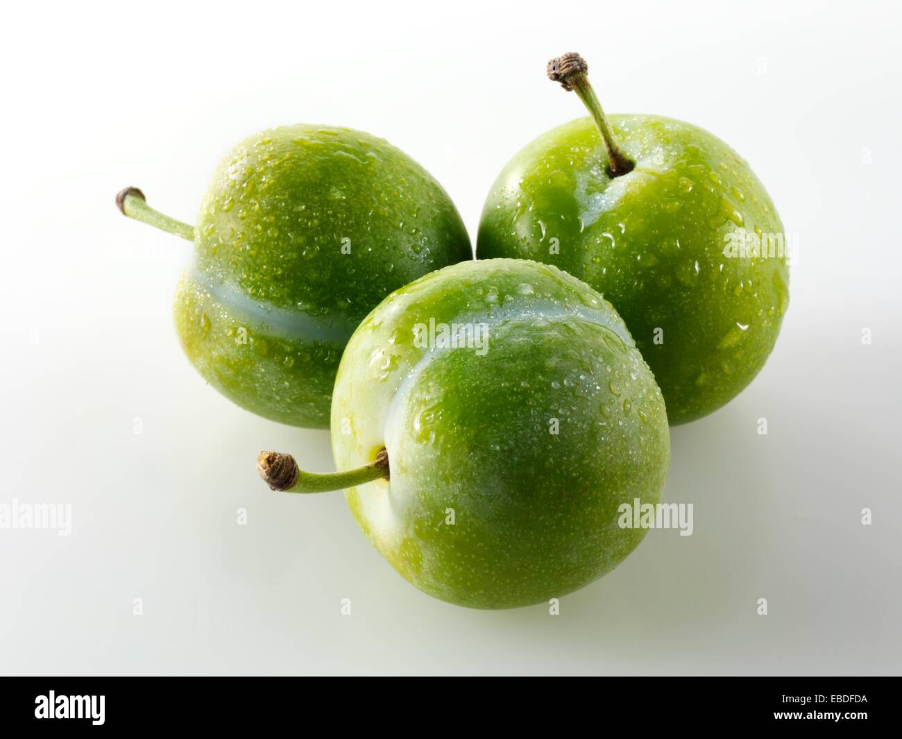 Prunus italica hi-res stock photography and images - Alamy