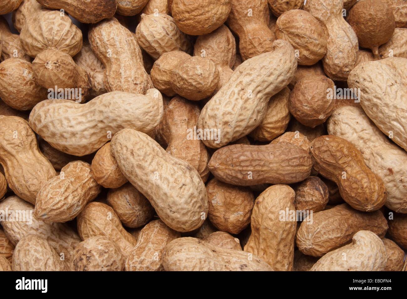 Peanut in shell Stock Photo - Alamy