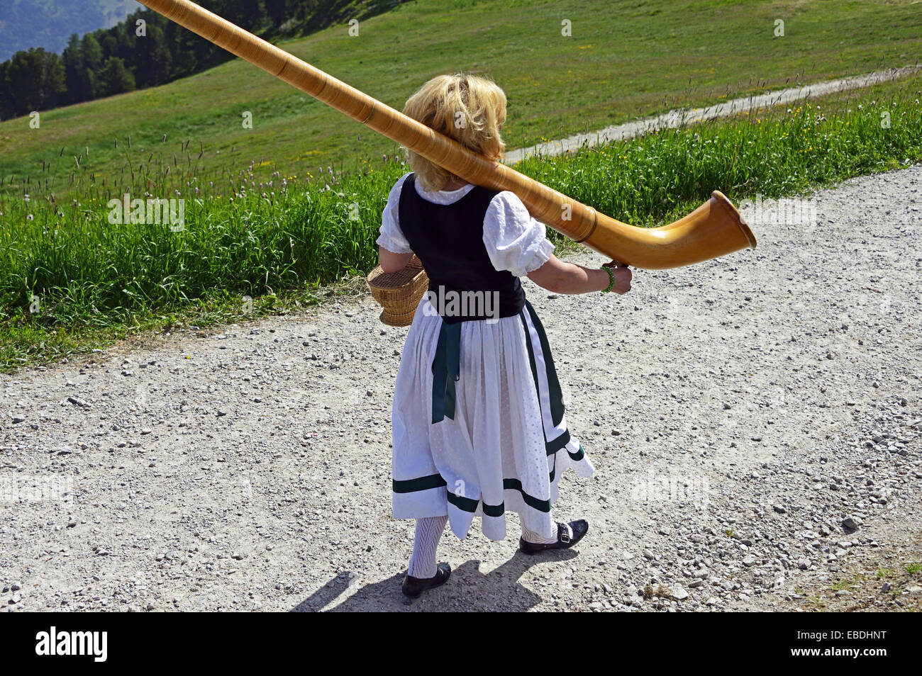Alphorn Alpenhorn Traditional Musical Instrument High Resolution Stock ...