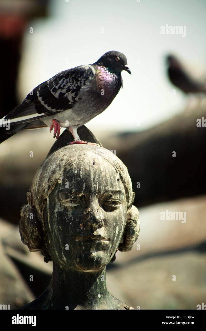 Dove figure hi-res stock photography and images - Alamy