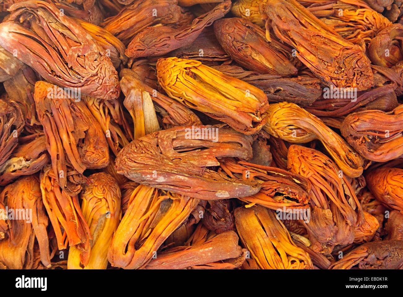 Mace from the seed covering hi-res stock photography and images - Alamy
