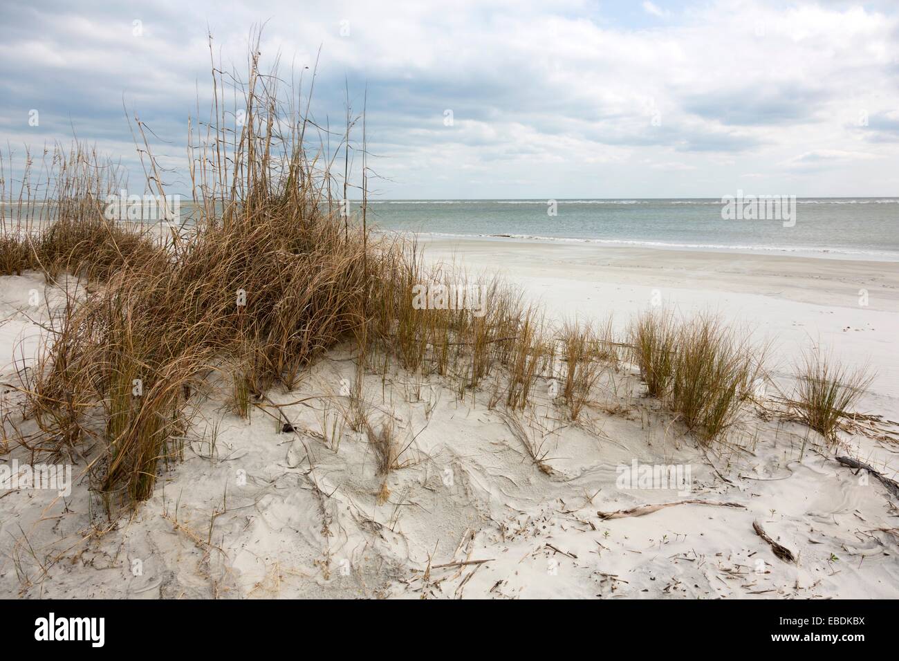 Sapelo island beach hi-res stock photography and images - Alamy