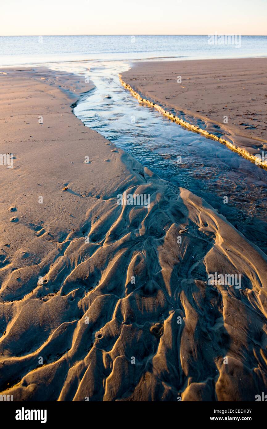 Sapelo island beach hi-res stock photography and images - Alamy