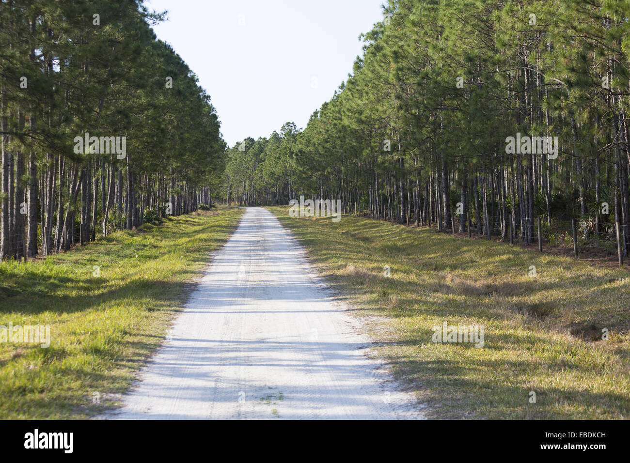 Indian River County, Florida, USA Stock Photo - Alamy