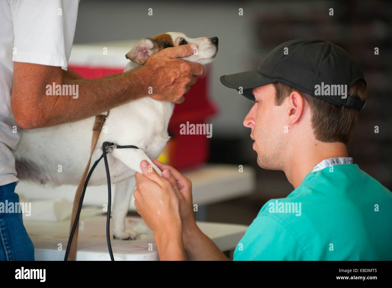 Blood draw adult High Resolution Stock Photography and Images - Alamy