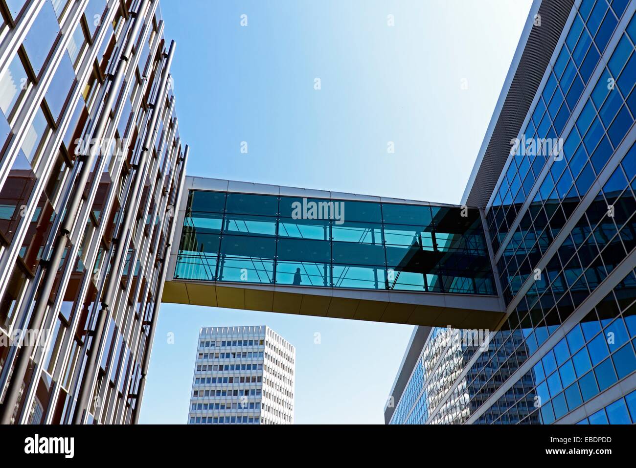 Obstination High Resolution Stock Photography and Images - Alamy