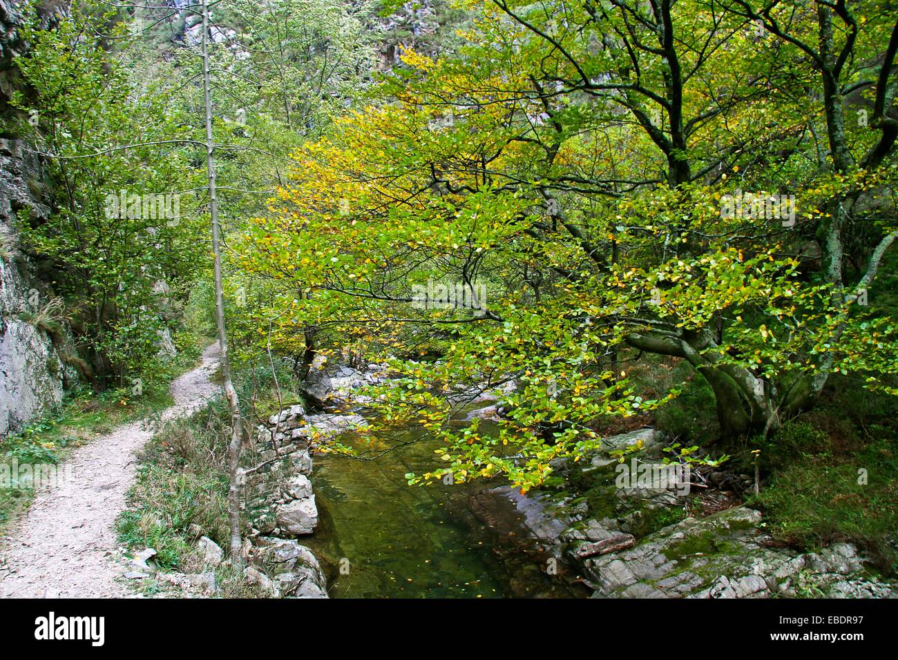 Redes national park hi-res stock photography and images - Alamy