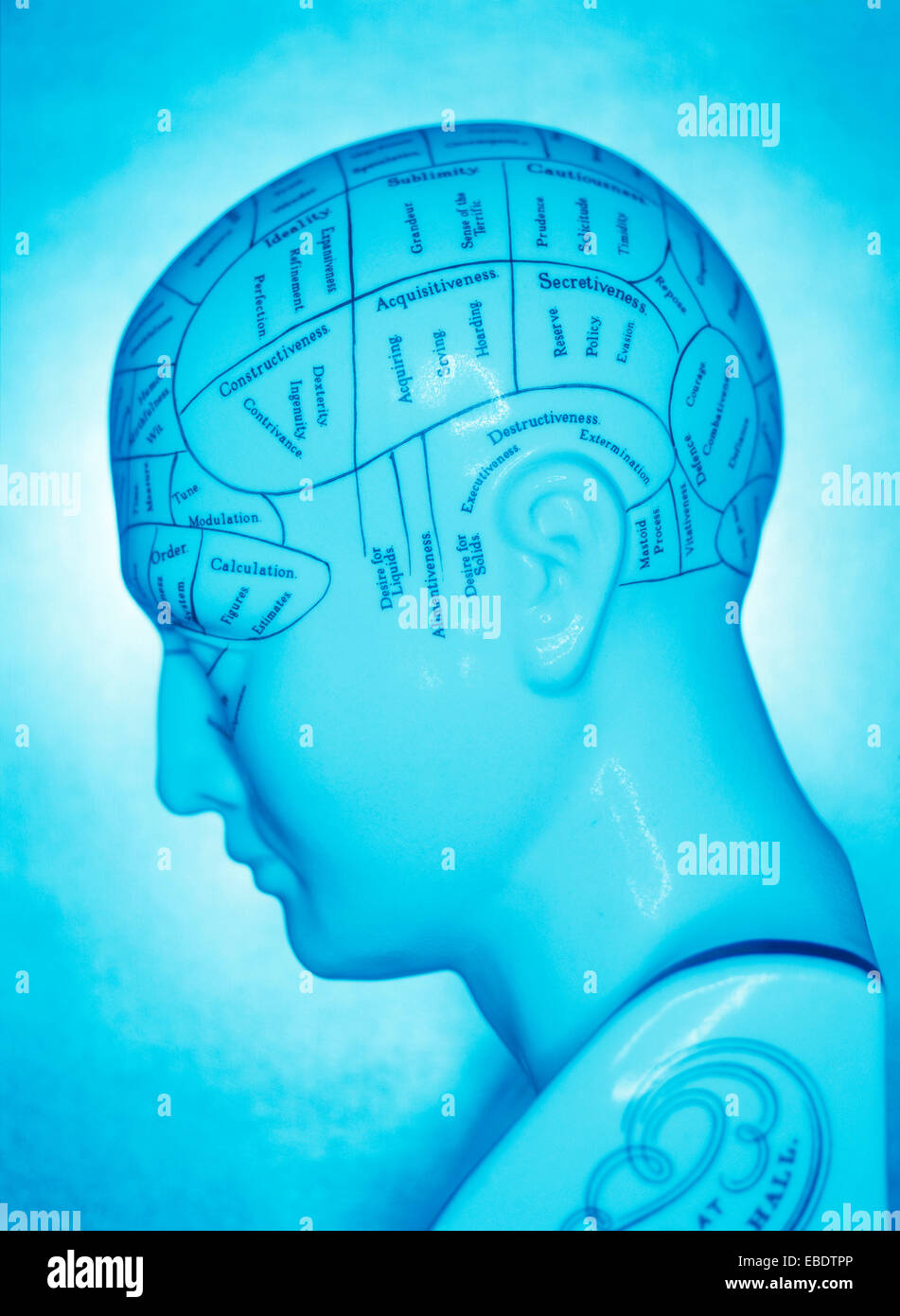 Phrenology Chart High Resolution Stock Photography and Images - Alamy