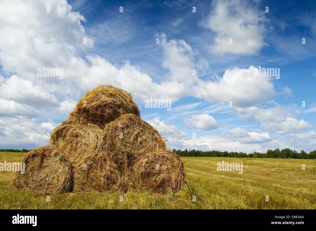 view of haystacks and valley in summer countryside environment Stock ...