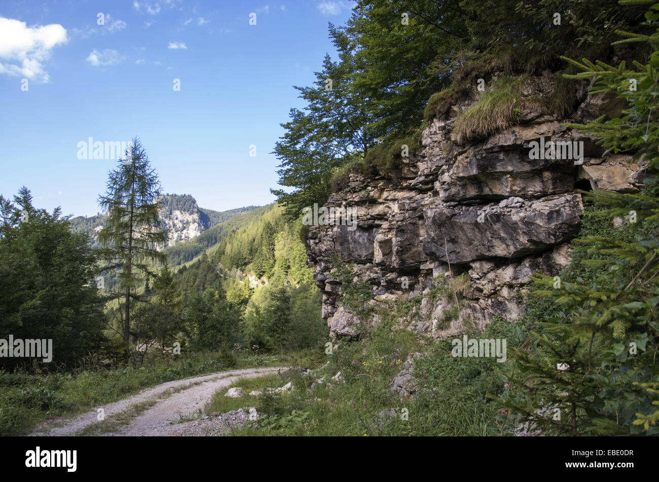 Hiking Trail in Eastern Limestone Alp Region. Kalkalpen National Park ...