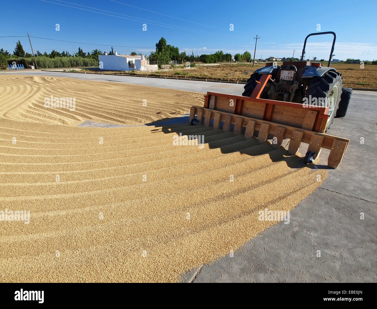 Threshing floor hi-res stock photography and images - Alamy