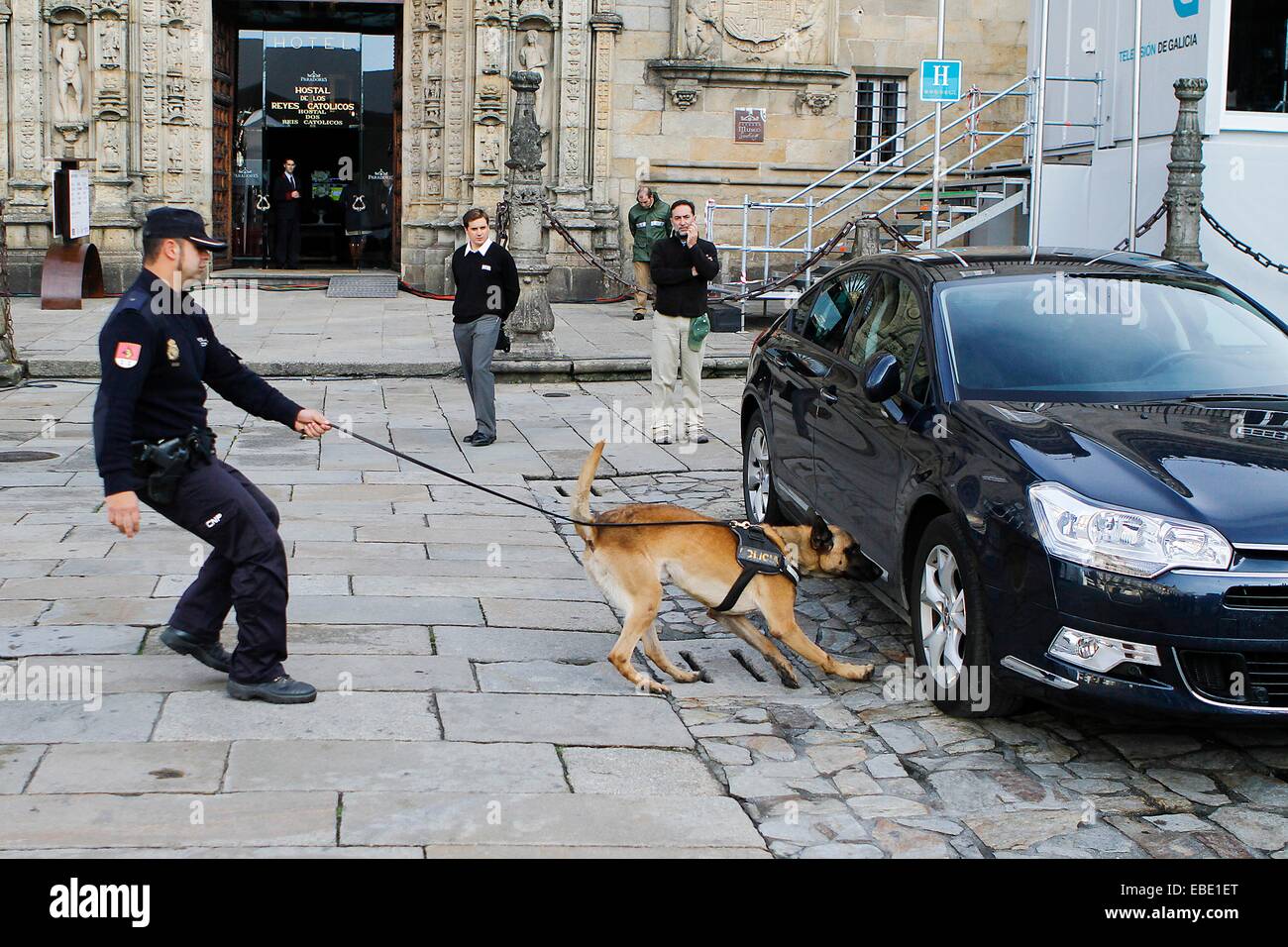 Explosives Dog Stock Photos & Explosives Dog Stock Images - Alamy