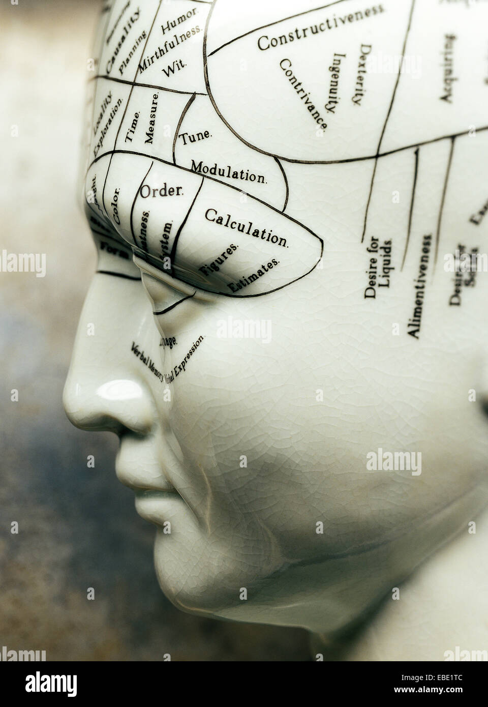 Phrenology Chart High Resolution Stock Photography and Images - Alamy