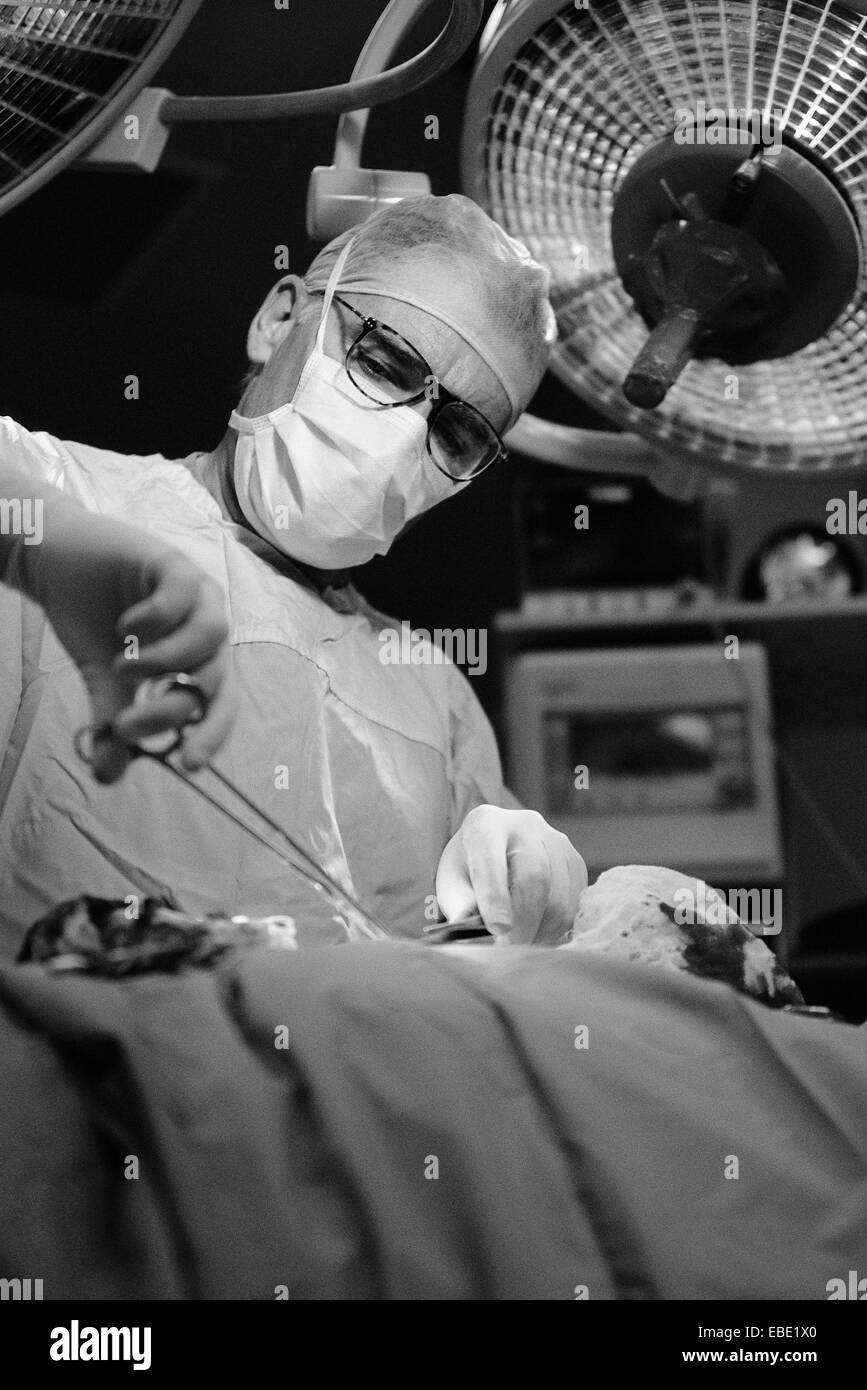 40 45 year old caucasian male Black and White Stock Photos & Images - Alamy