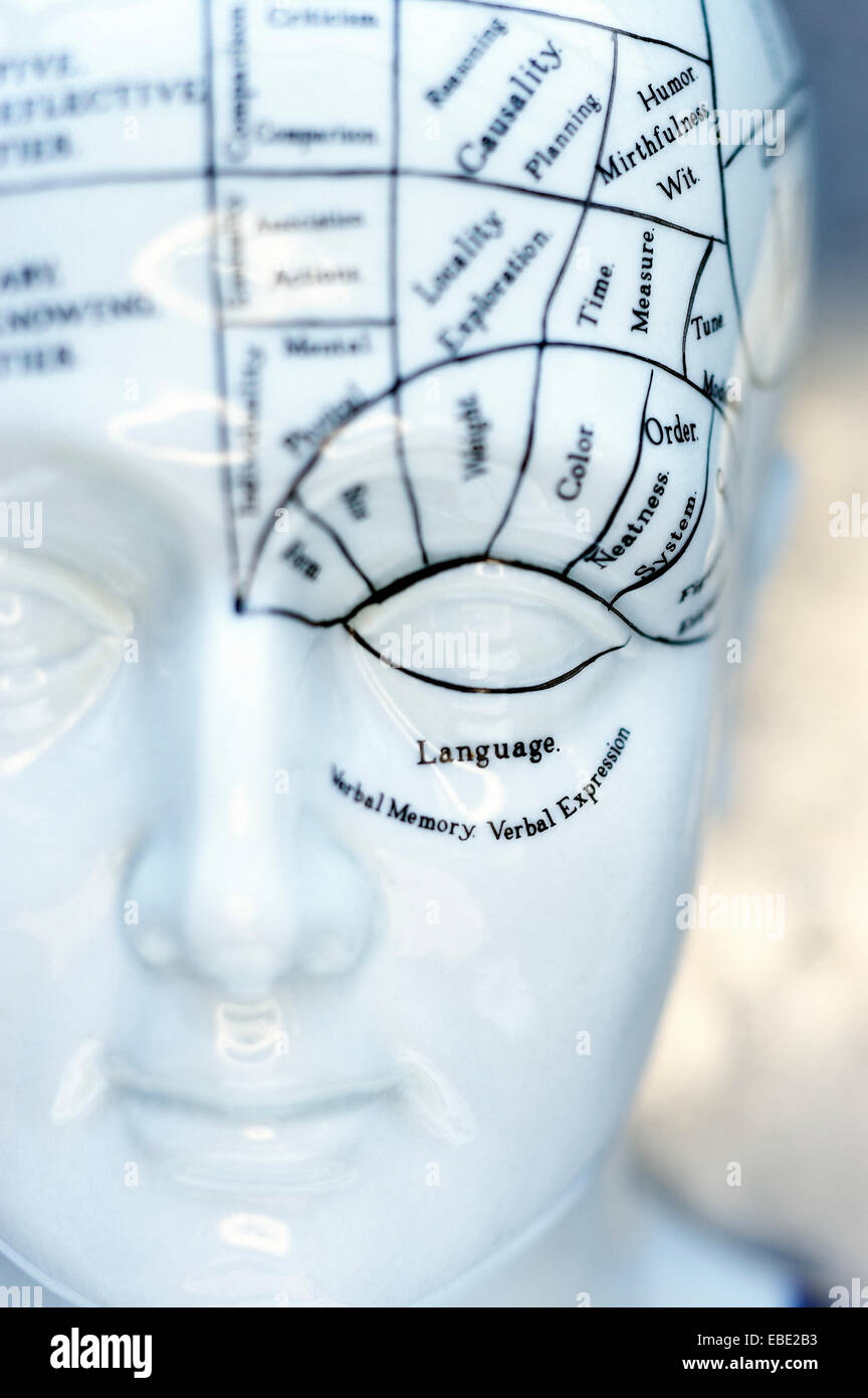 Phrenology Chart High Resolution Stock Photography and Images - Alamy