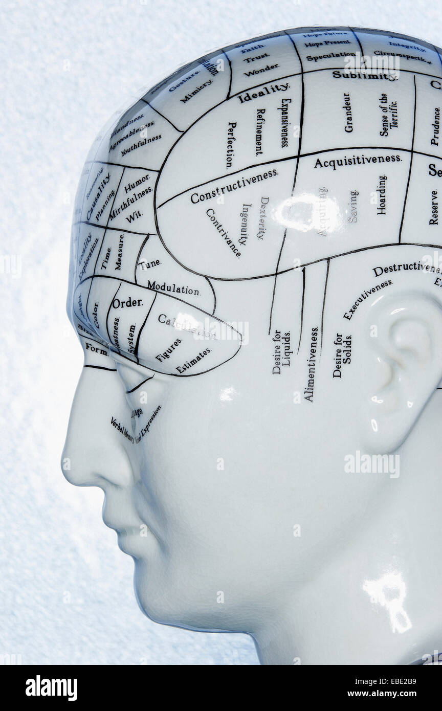 Phrenology Chart High Resolution Stock Photography and Images - Alamy