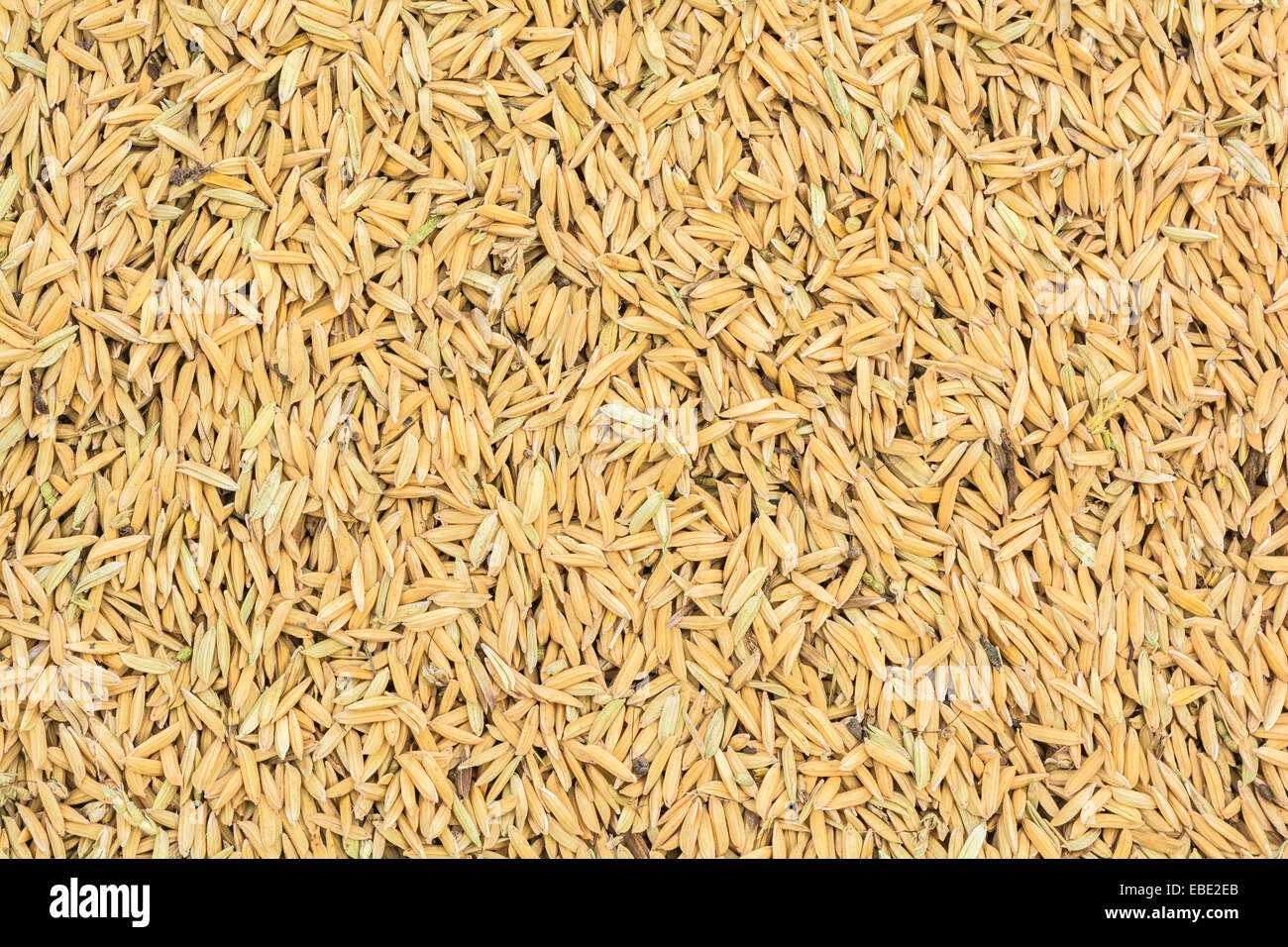 rice gain for background Stock Photo - Alamy