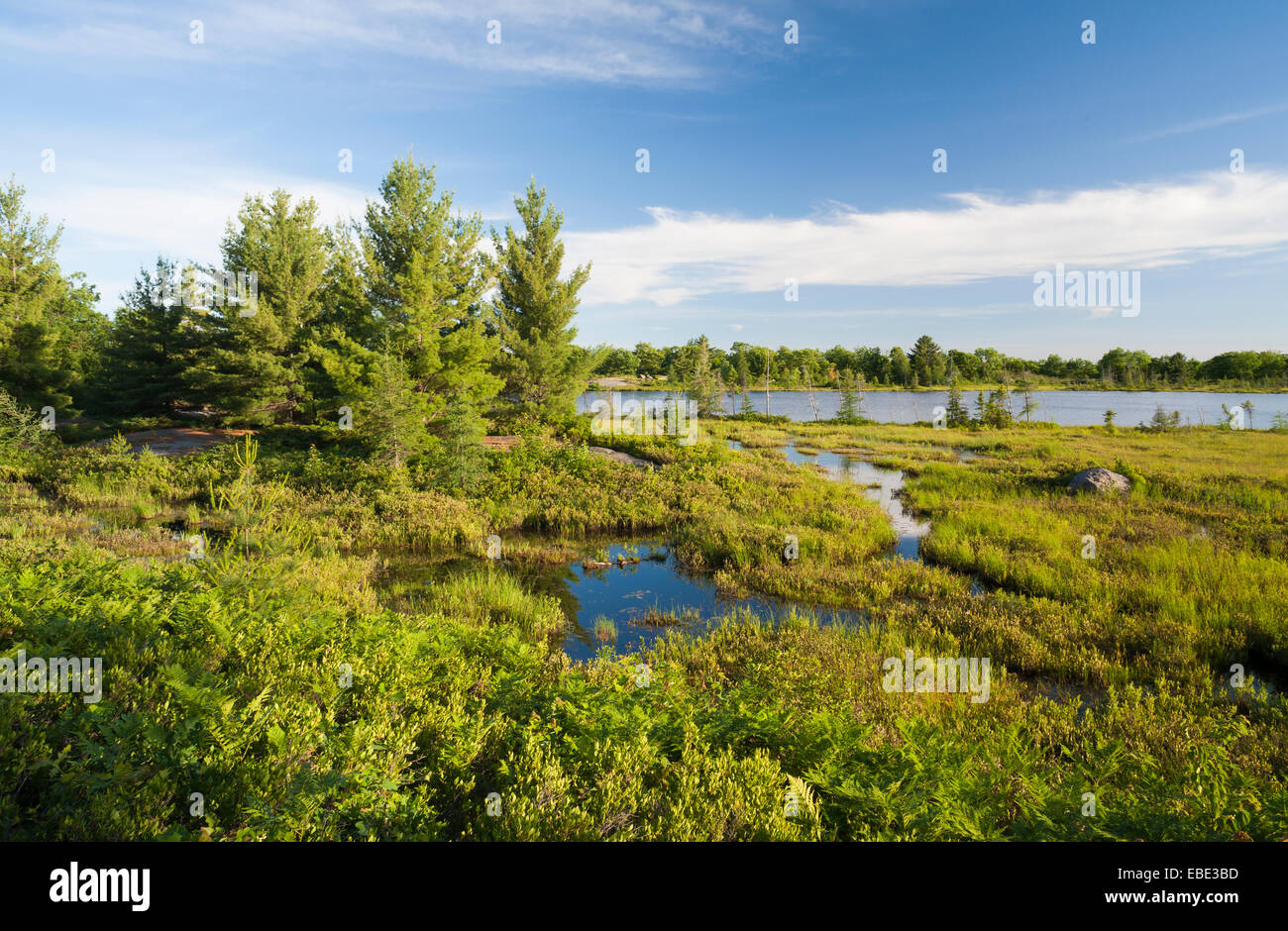 Vibrant green colours in this lush landscape overlooking Highland Pond ...