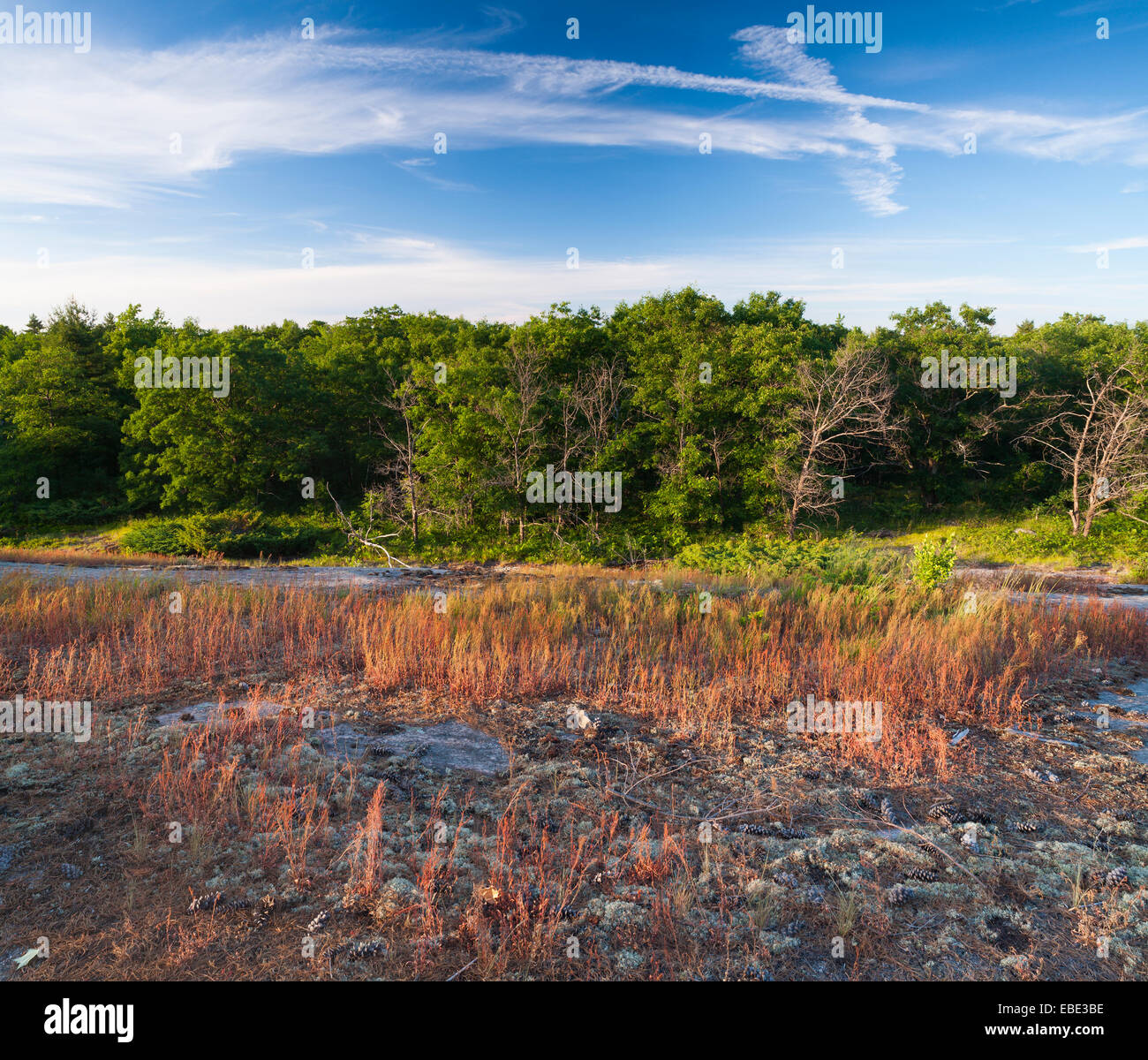 Landscape with a dramatic sky. Torrence Barrens Dark-Sky Preserve ...
