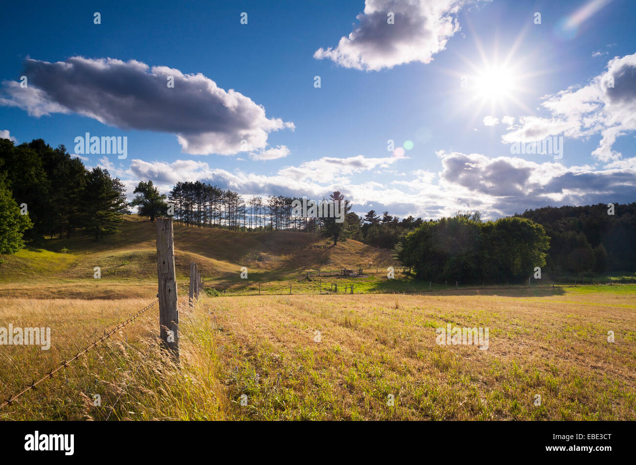 A recently harvested hay field with rolling hills in the background ...