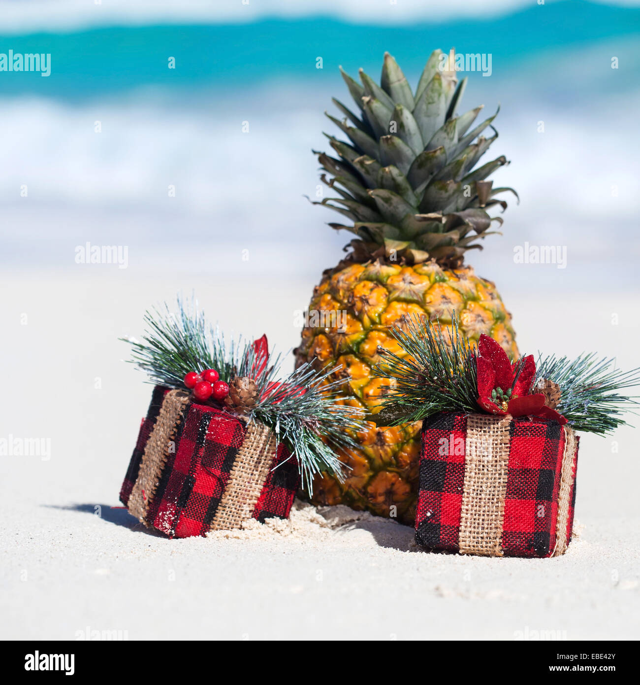 Tropical christmas pineapple hi-res stock photography and images - Alamy