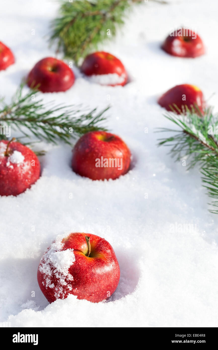 Red apples decorated evergreen branches on white snow Stock Photo - Alamy