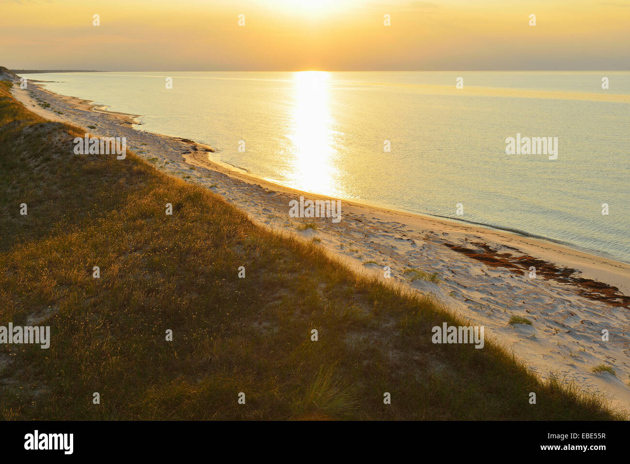 Baltic Sea Beach at Sunset, Summer, Zingst, Darss, Fischland-Darss ...