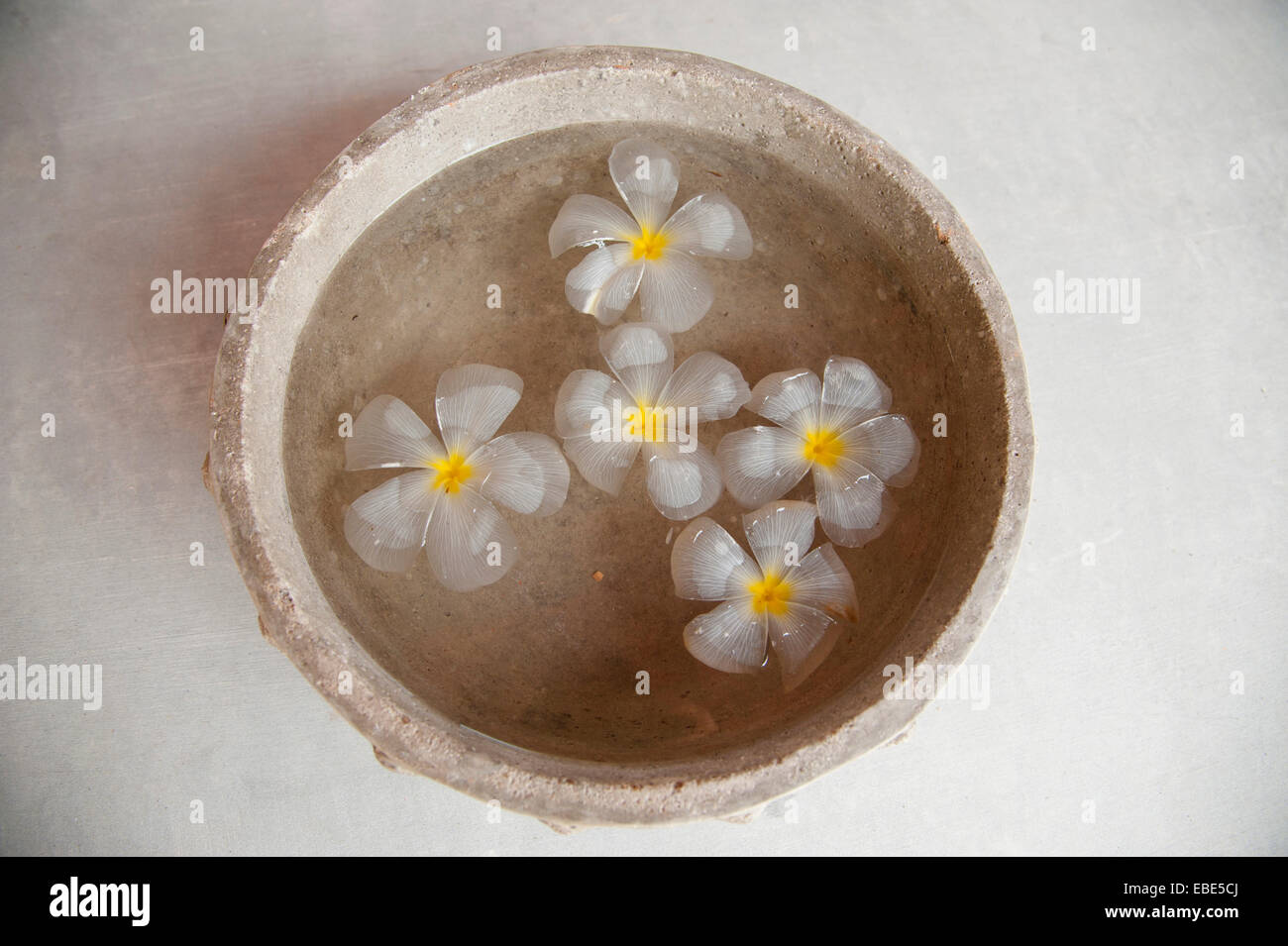 White Flowers Floating in Water in Stone Bowl Stock Photo - Alamy