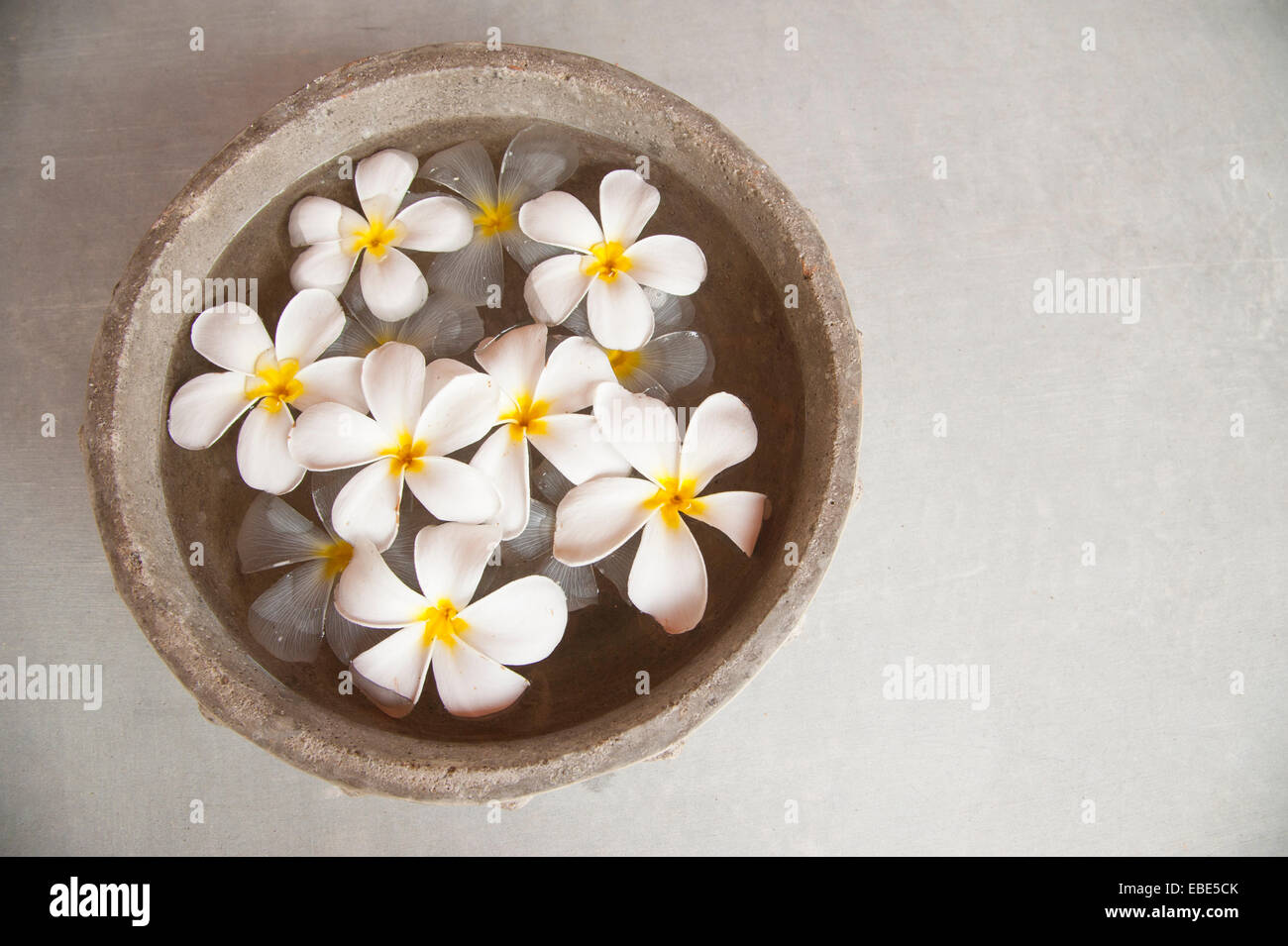 White Flowers Floating in Water in Stone Bowl Stock Photo - Alamy