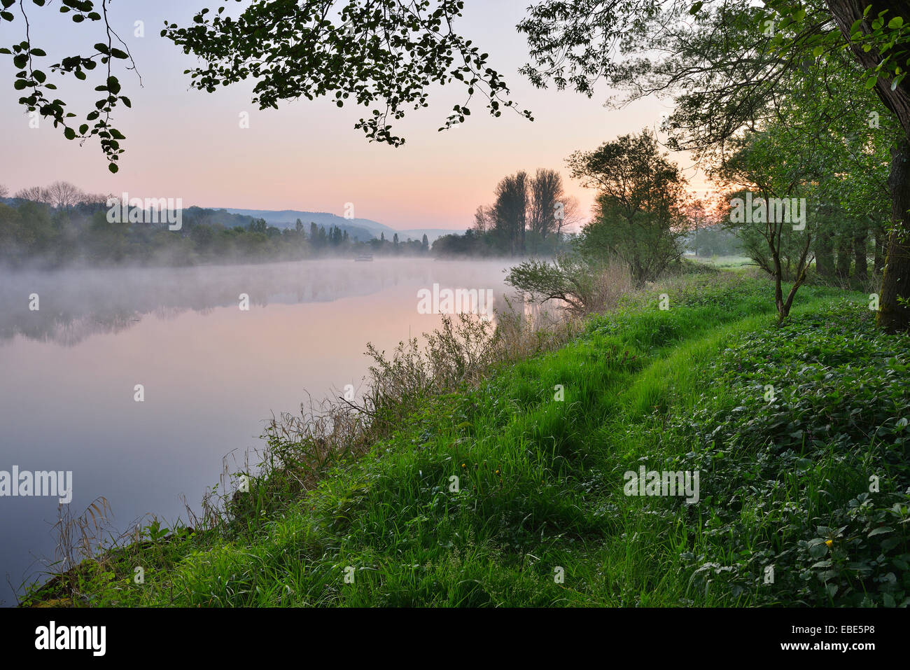 River Main in the Dawn, Spring, Dorfprozelten, Spessart, Franconia ...