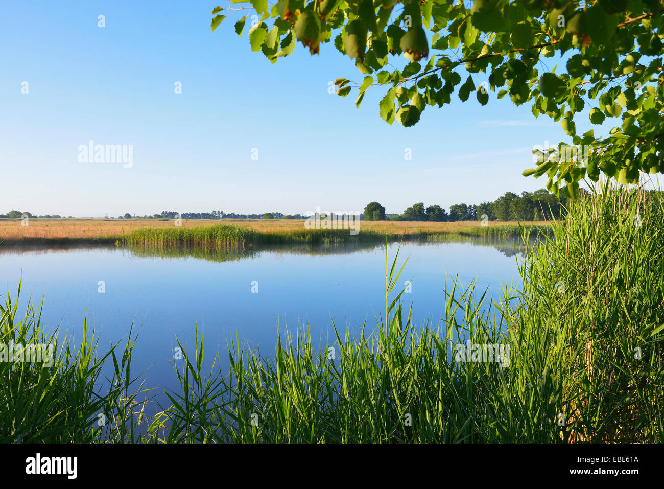 Prerowstrom in Morning, Prerow, Fischland-Darss-Zingst, Mecklenburg ...
