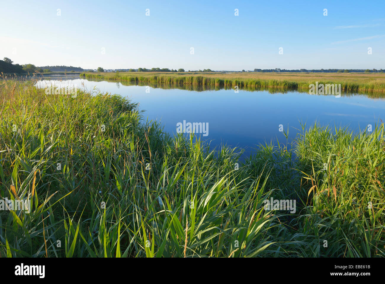 Prerowstrom in Morning, Prerow, Fischland-Darss-Zingst, Mecklenburg ...