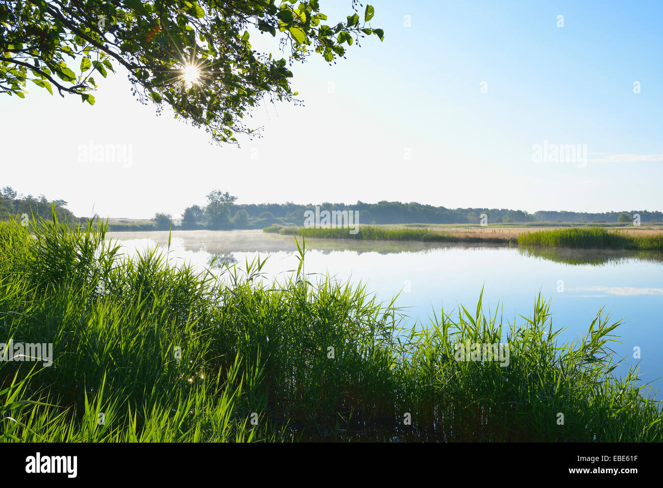 Prerowstrom in Morning, Prerow, Fischland-Darss-Zingst, Mecklenburg ...