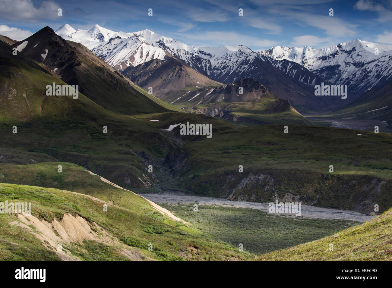 Landscape with Mountains, Denali National Park, Alaska, USA Stock Photo ...
