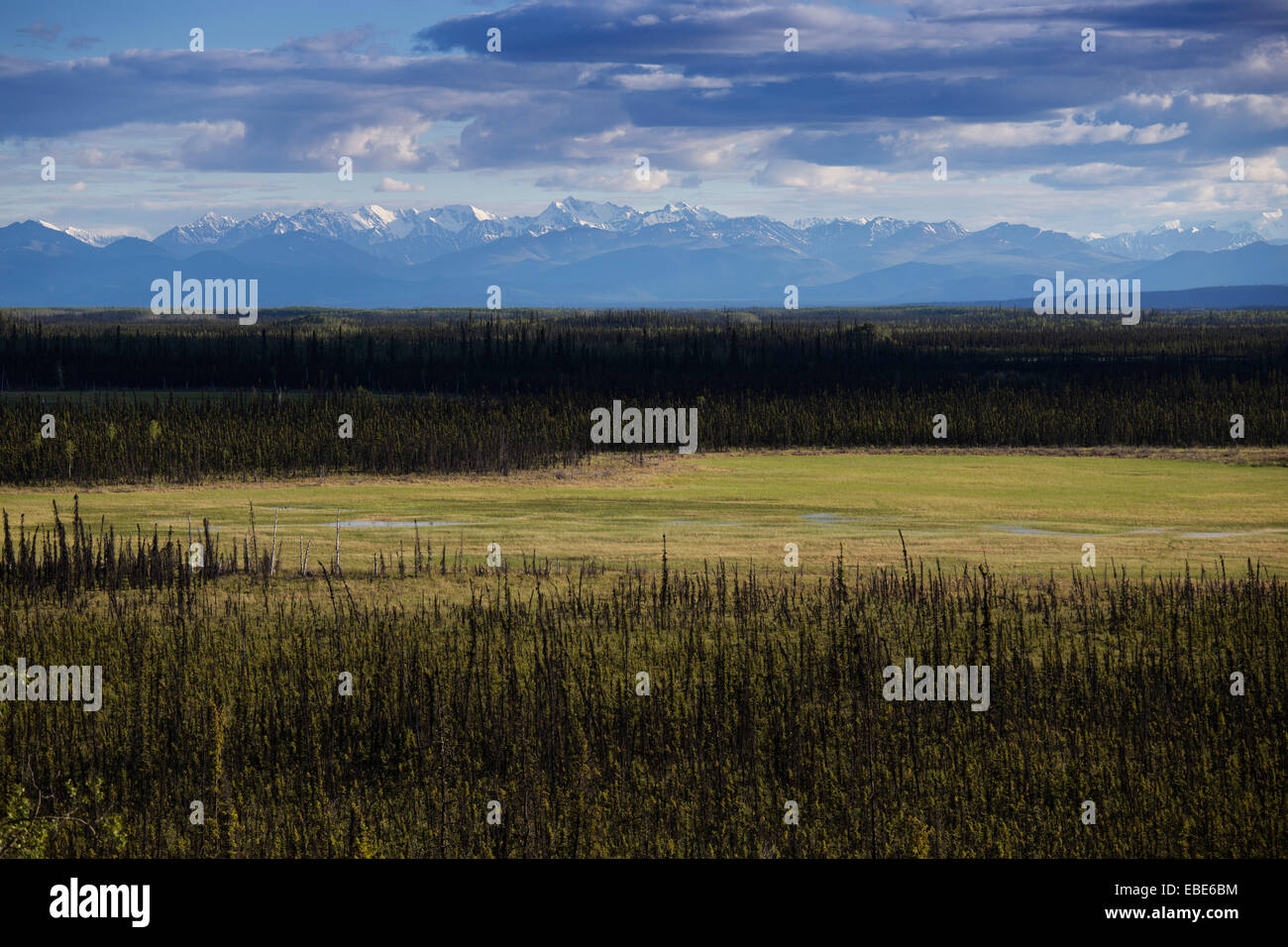 Wrangell-Saint Elias National Park and Preserve, Alaska, USA Stock ...