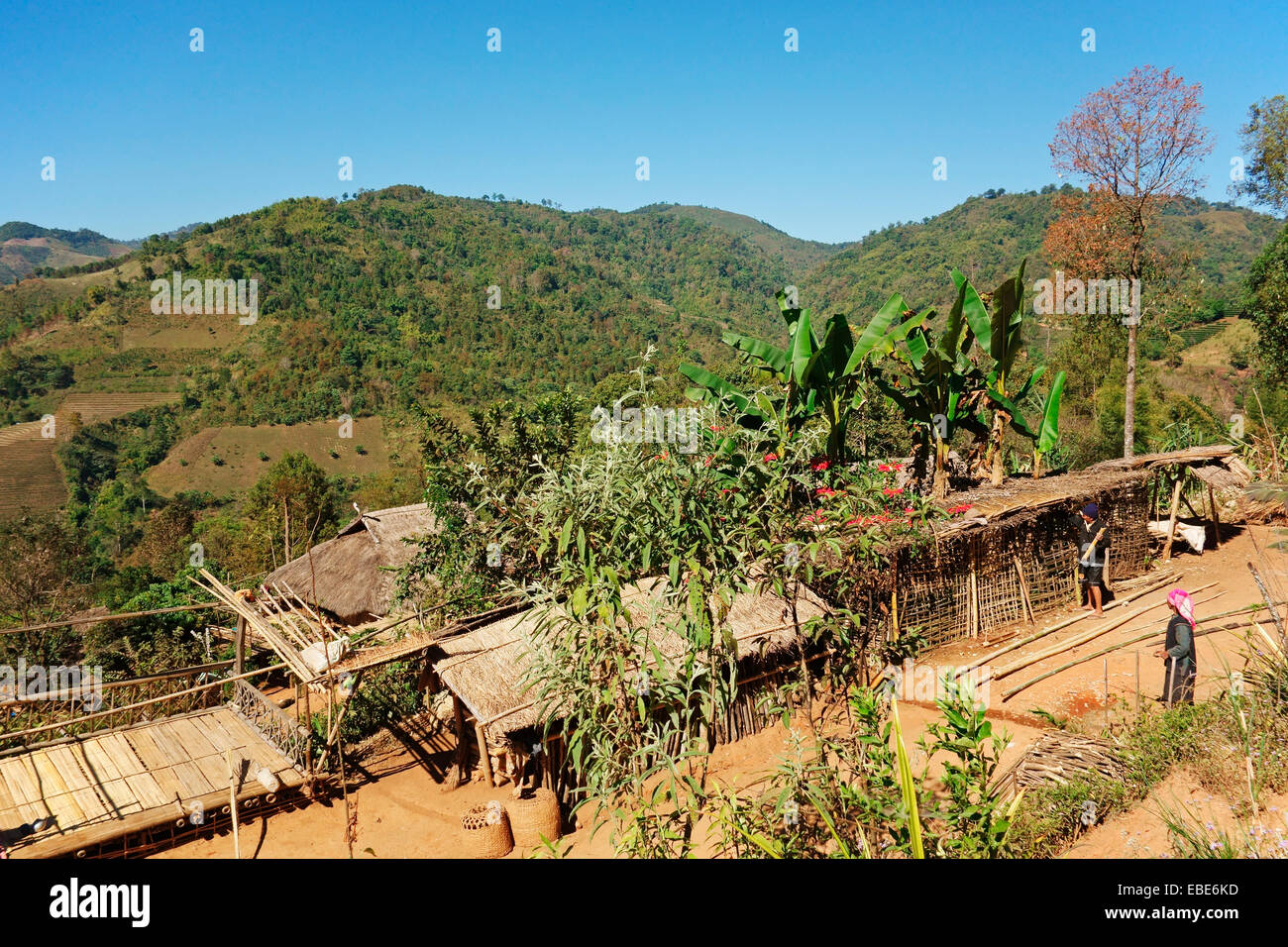 Huts in Akha Village, Mae Salong, Golden Triangle, Chiang Rai Province ...
