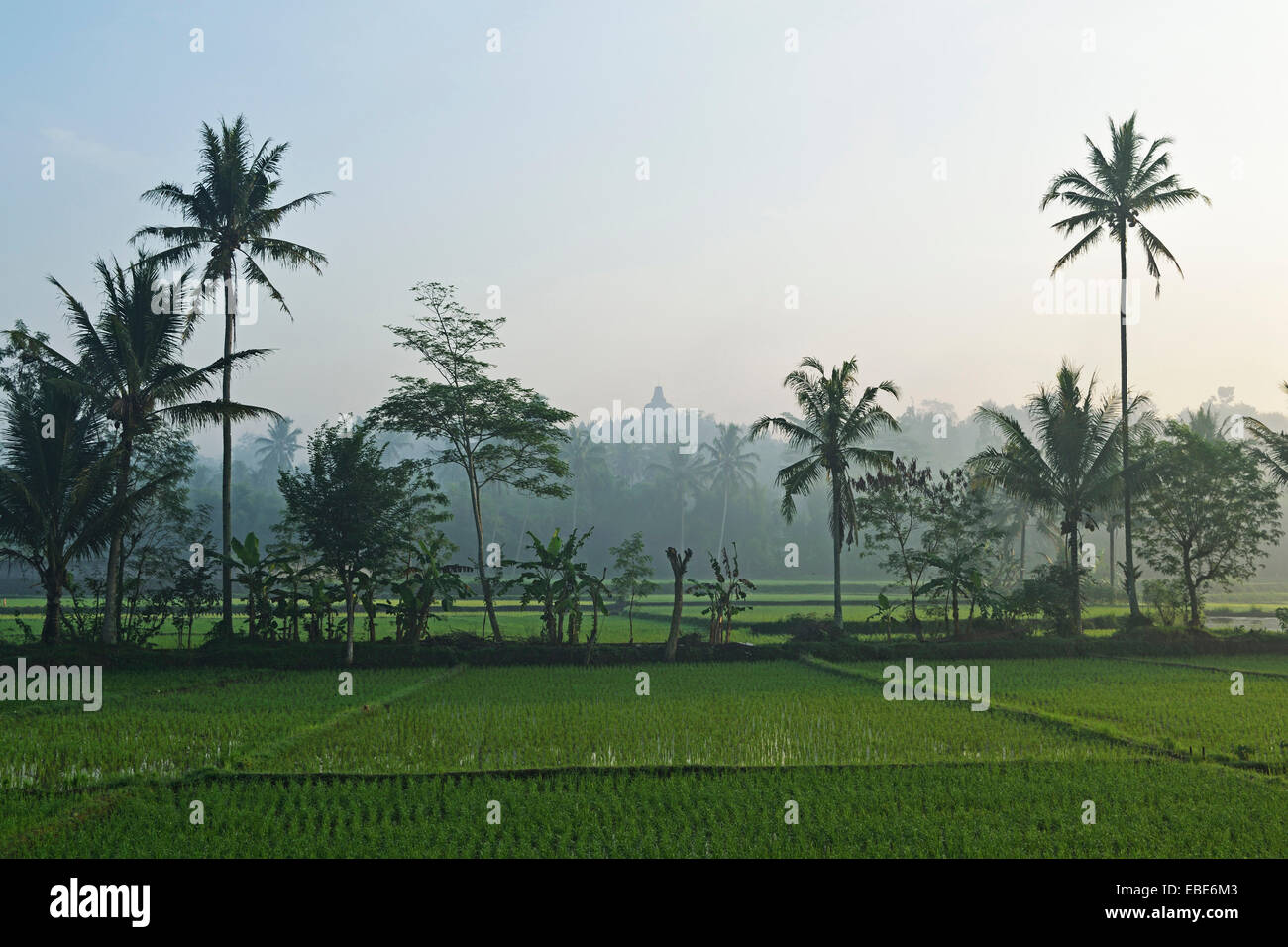 Kedu plain hi-res stock photography and images - Alamy