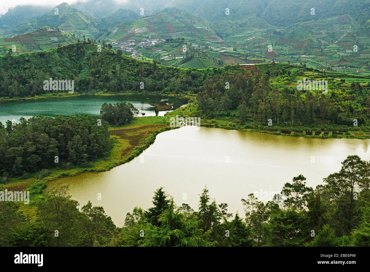 Telaga Warna (Colorful Lake), Dieng Plateau, Java, Indonesia Stock ...