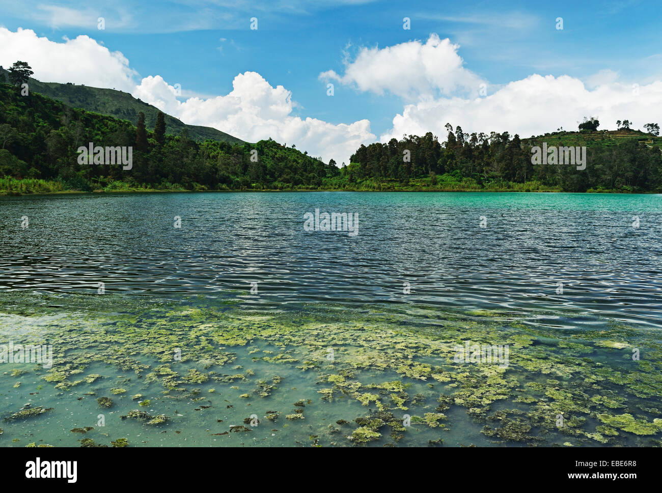 Telaga Warna (Colorful Lake), Dieng Plateau, Java, Indonesia Stock ...