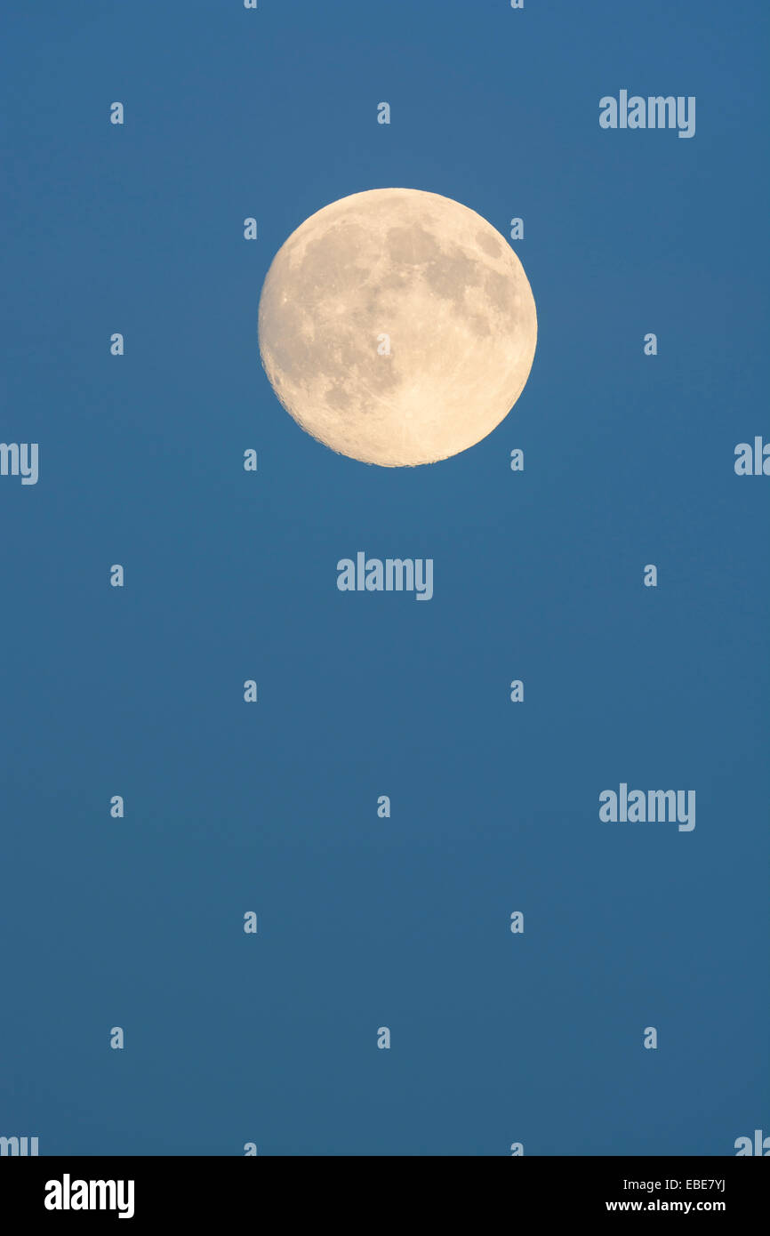 Full moon in sky at dusk, Odenwald, Hesse, Germany Stock Photo - Alamy